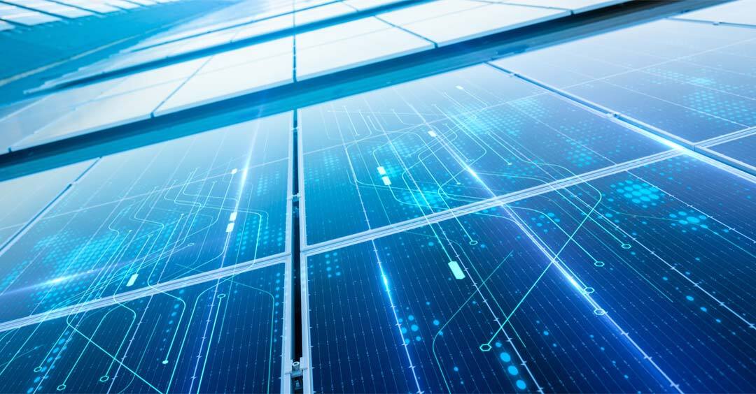 Avvale | Case Study | PVH